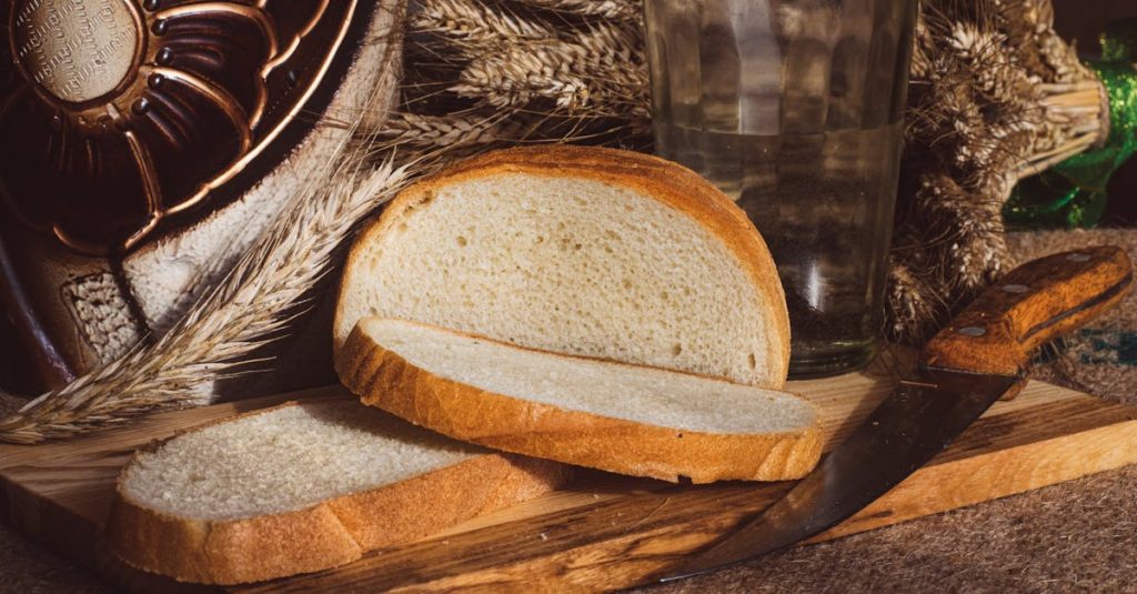 Conseils pour gérer la transition vers la diversification alimentaire ...